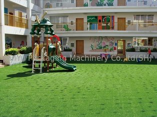 China Kindergarten leisure grass supplier