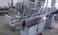 GT1T-1G Automatic Paste Filling Machine supplier